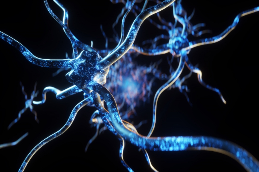 What Is A Brain Aneurysm? - Enez Health